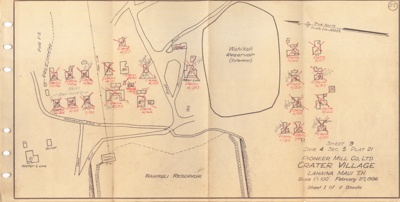 Record, Map; Pioneer Mill Co.; 2/27/1936; 2020.010.0915 | eHive