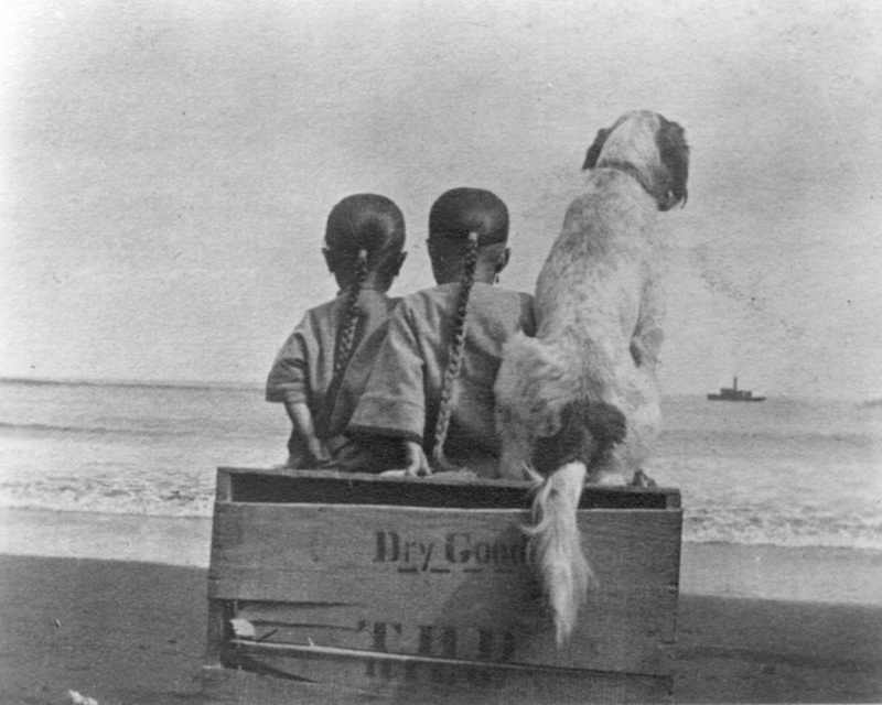 Photograph - Chinese Boys in Hawaii; circa 1920; 2023.002.0231 | eHive