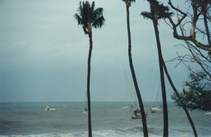 Photograph - Hurricane Iniki; September 11 1992; 2023.005.0030 | eHive