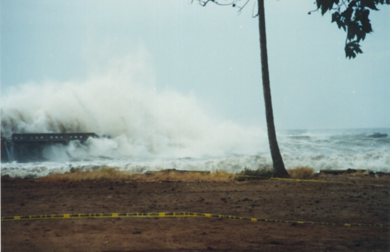 Photograph - Hurricane Iniki; September 11 1992; 2023.005.0025 | eHive