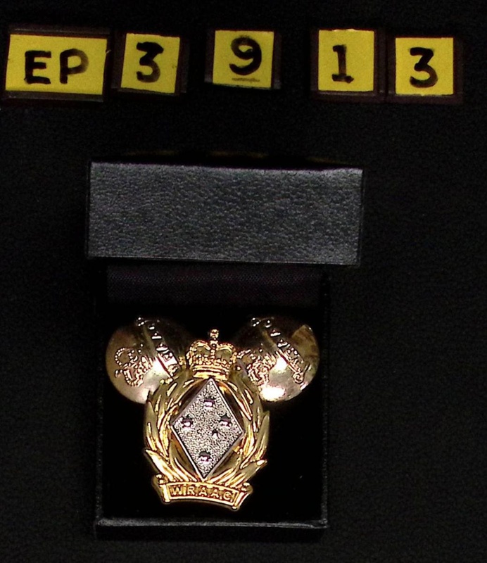 WRAAC badges & buttons; 3913 | eHive