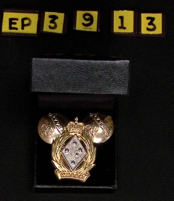 WRAAC badges & buttons; 3913 | eHive