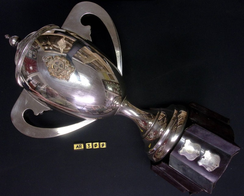 Trophy - Tug of War; 300 | eHive