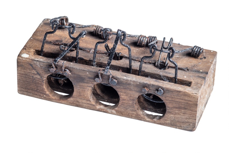 Mouse Trap; 229 | eHive