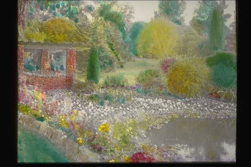 Featuring Water Hyacinth; David Matthews; 1930 circa; 1042gs | eHive