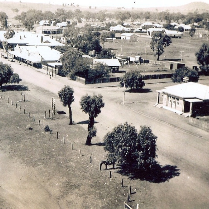 Dunedoo Museum and Historical Society | eHive