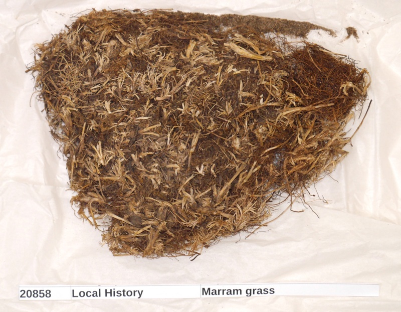 Marram Grass Thatch ; Late 19th Century ; 20858 | eHive
