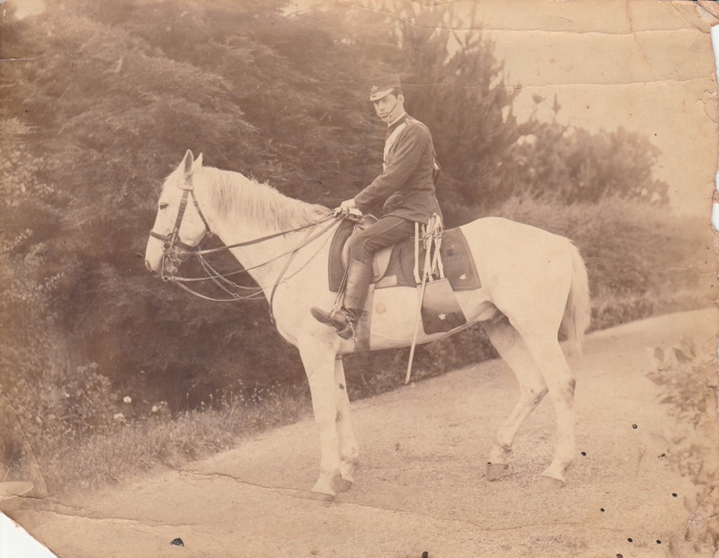 Major Benjamin Digby Tonks of the Auckland Volunteers mounted on his ...