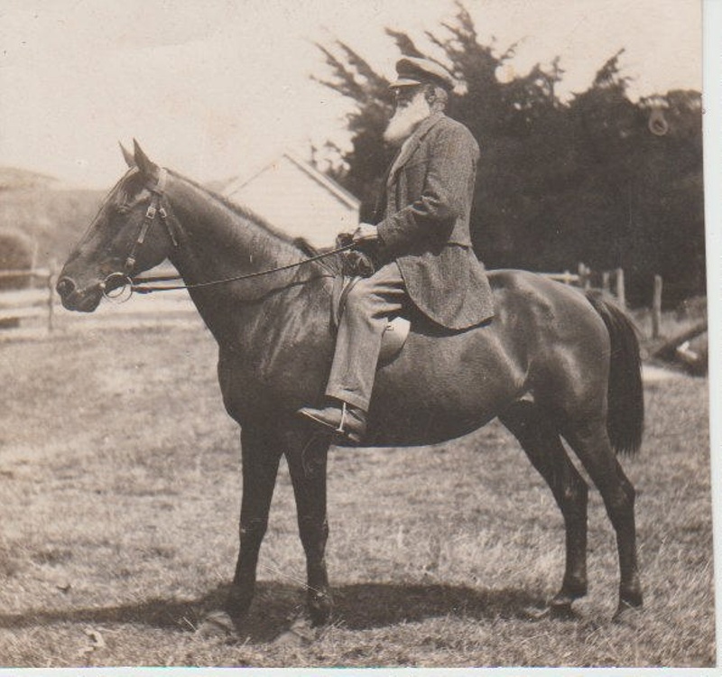 John Gillard on his horse at Waiheke Island.; 2018.352.02 | eHive
