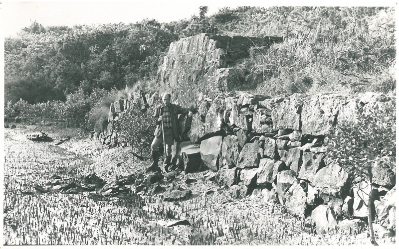 Stone foundations Ti Rakau bridge; Howick & Pakuranga Times; c1975 ...