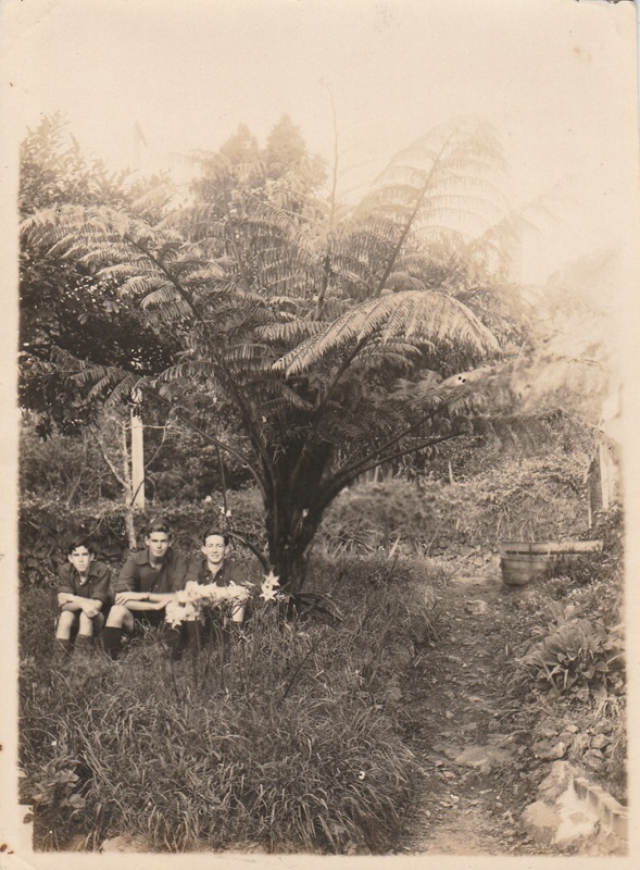 Jack Donald, Francis Geoffrey Fairfield and Trevor Woolam beneath a ...