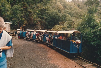 Howick Historical Society's outing to the Waitakere Ranges. Members are ...