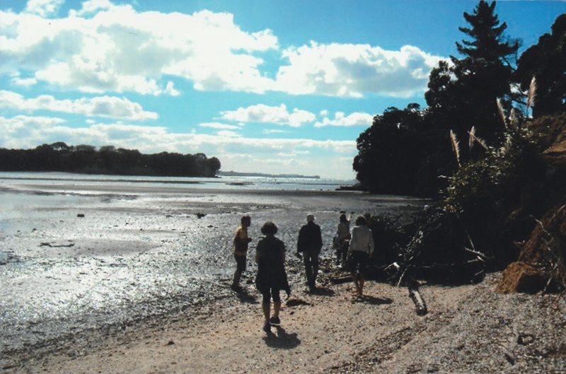 A Howick Historical Society's walk around Motukaraka or Flat Island ...