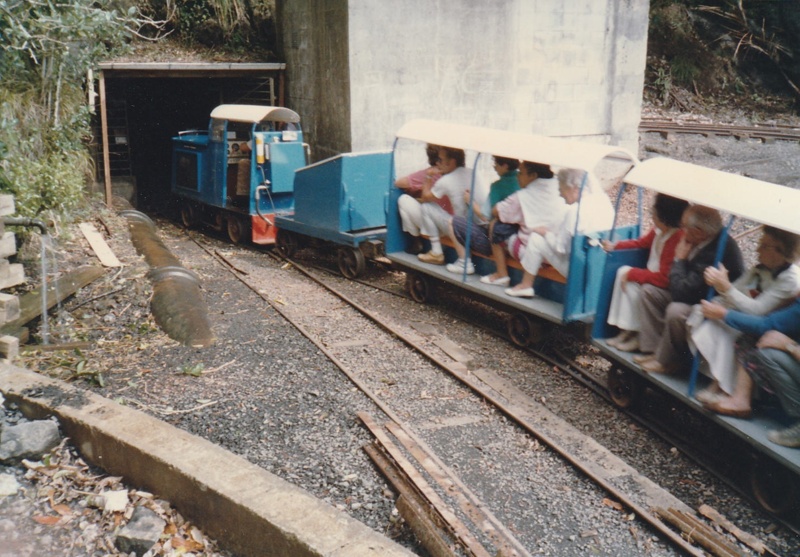 Howick Historical Society's outing to the Waitakere Ranges shows ...
