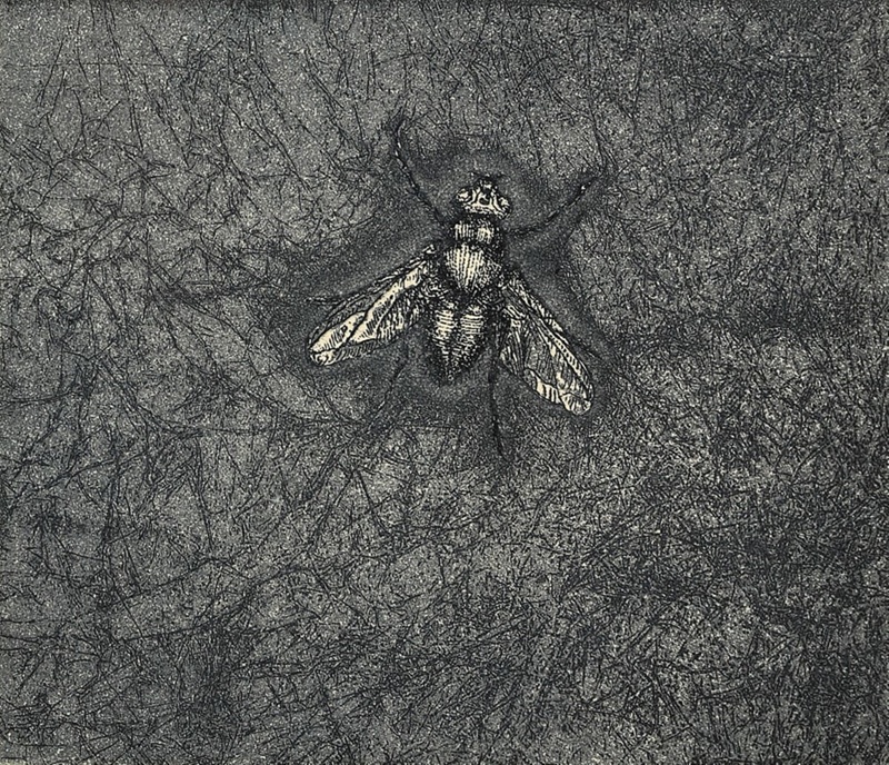 Fly by Night 1; Barry CLEAVIN; 1993; 1295 | eHive