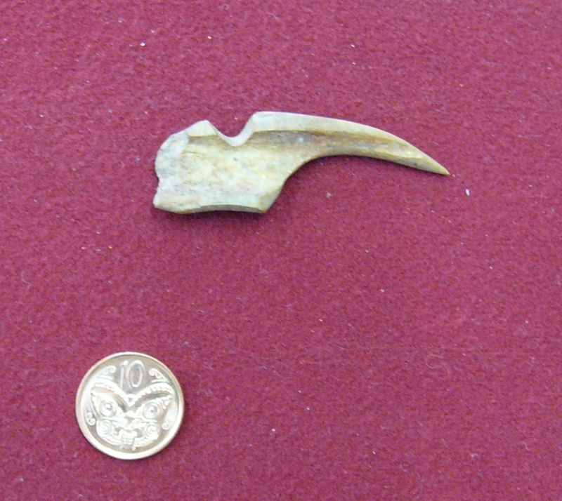 Fish hook point (composite); pre-1800; Oceania, New Zealand, South ...