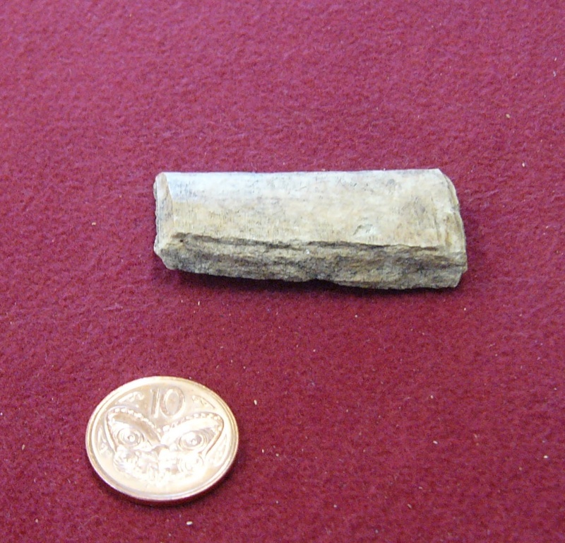 Moa bone tab; Oceania, New Zealand; 0000.1423 | eHive