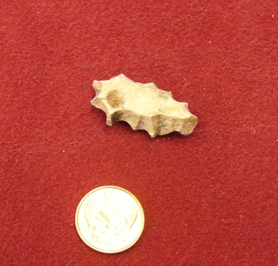 fish hook centre knock out; Oceania, New Zealand; 0000.1413 | eHive