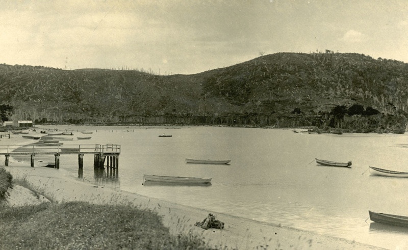 Photograph [Jetty at Pounawea]; [?]; [?]; CT79.1075g | eHive