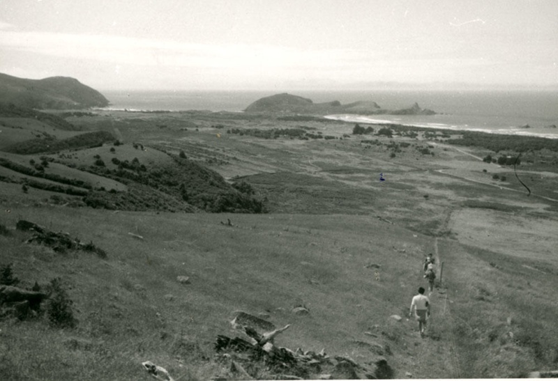 Photograph [Cannibal Bay and False Island]; [?]; [?]; 2010.619 | eHive