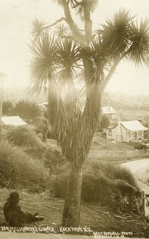 Photograph [Millionaires' Corner, Kaka Point, 1908]; Randall, George T ...