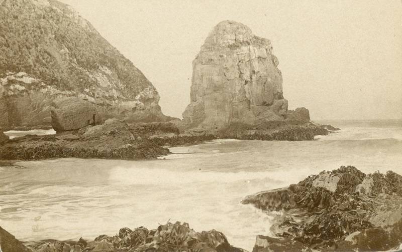 Photograph [Cannibal Bay]; [?]; [?]; CT79.1089d | eHive