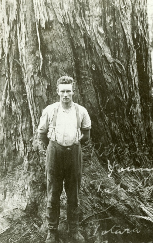 Photograph [Peter Lumsden, Tahakopa]; [?]; c1920s; CT79.1262a | eHive