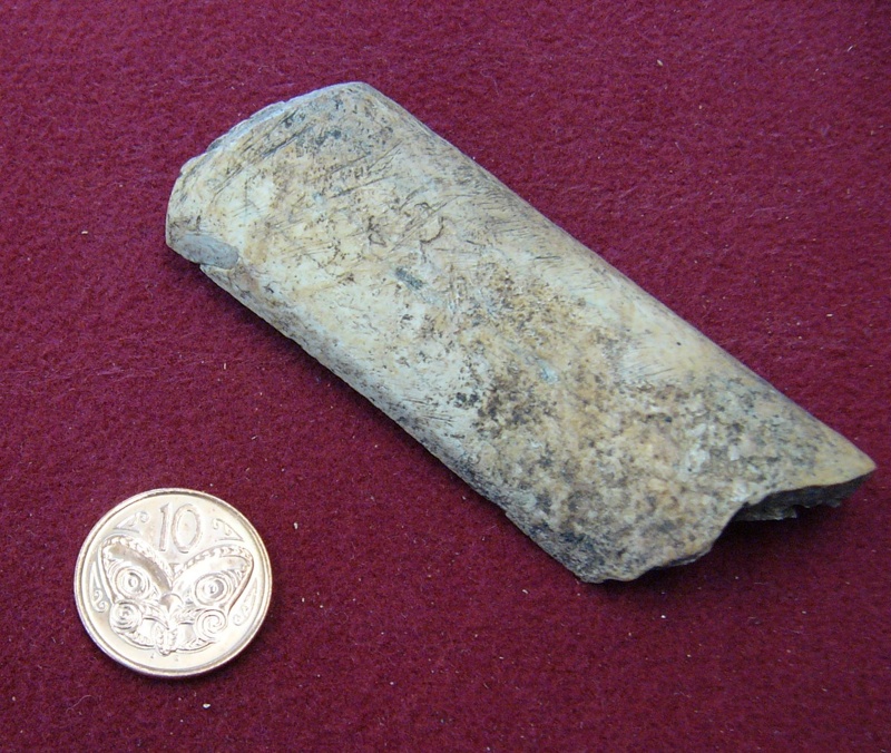 Moa bone tab; Oceania, New Zealand; 0000.1422 | eHive