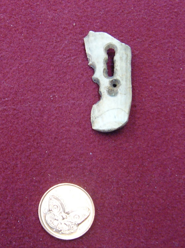 Fish hook - seal/sea lion tooth ; Oceania, New Zealand; 0000.1397 | eHive