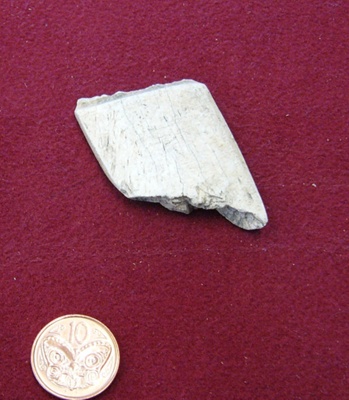 Bone tab; Oceania, New Zealand; 0000.1407 | eHive