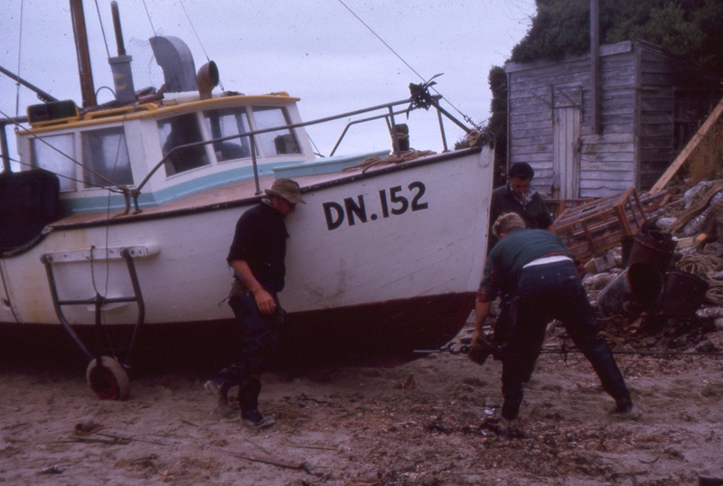 Slides, photographic, Nugget Point/Crayfishing; Davidson, Bill; 0000. ...