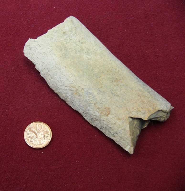 Moa bone tab; Oceania, New Zealand; 0000.1408 | eHive