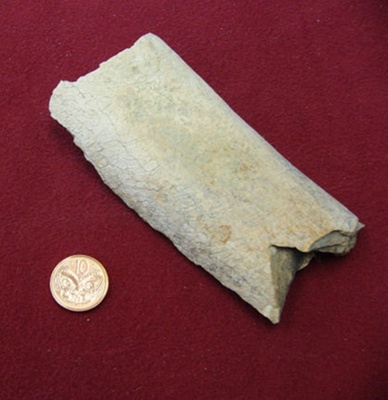 Moa bone tab; Oceania, New Zealand; 0000.1408 | eHive