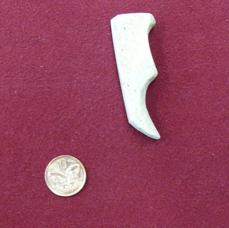 Carved imitation whale's tooth; Oceania, New Zealand; 0000.1377 | eHive