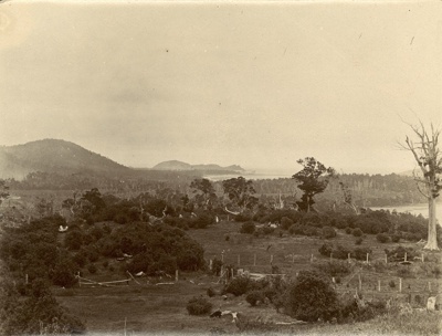 Photograph [Pounawea Landscape]; Williams, W (Mr); Early 1900s; CT79 ...