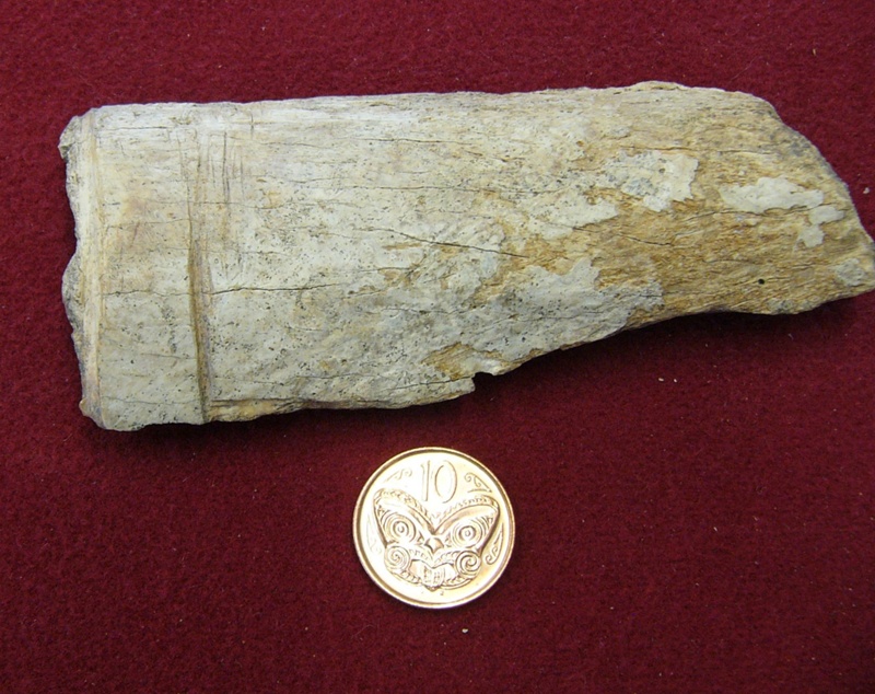 Moa bone tab; Oceania, New Zealand; 0000.1418 | eHive