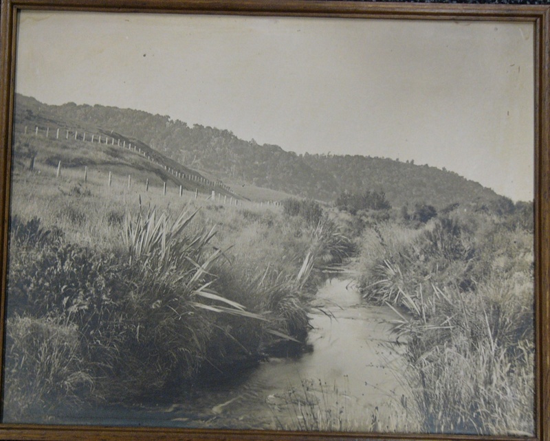 Photograph: Owaka Creek (River) meandering through long grass. Bush ...
