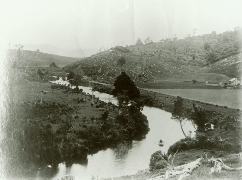 Photograph [Owaka River, looking towards Tahora]; [?]; 1906; CT89.1889. ...