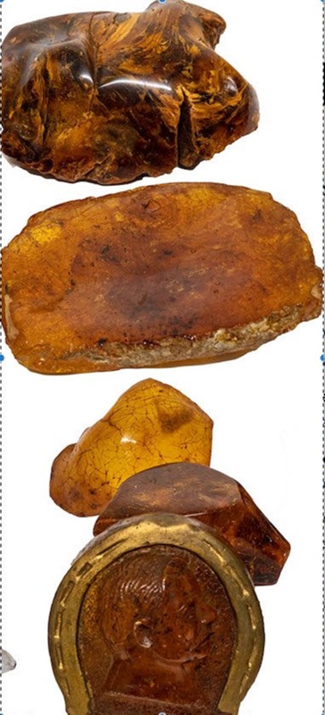 Kauri Gum Collection - Wood Family; 22-200 | eHive