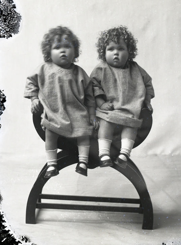 Twins portrait; 493 | eHive