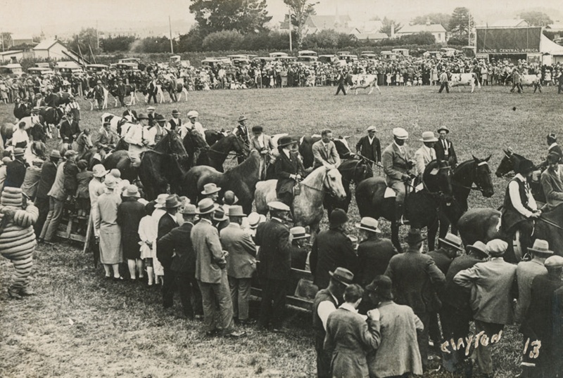 Photograph, Wyndham A & P Show 1928 Horses in Grand Parade; Clayton ...