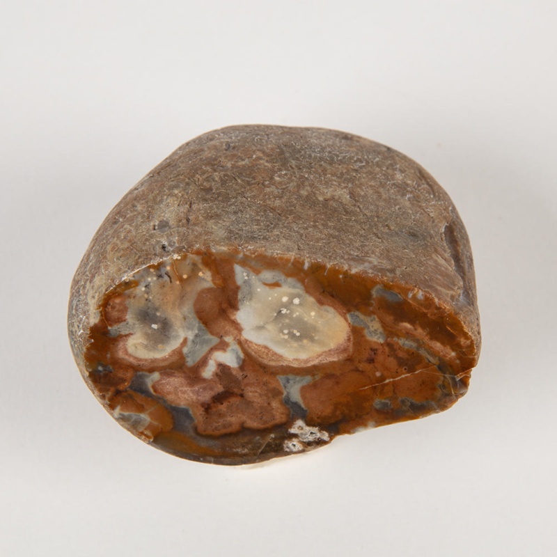 Geology specimen, Agate; rock, sedimentary; WY.0000.1084 | eHive