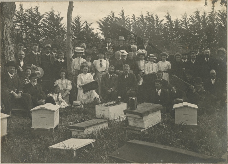 Photograph, Bee Field Day; Unknown photographer; 09.11.1908; WY.1989. ...
