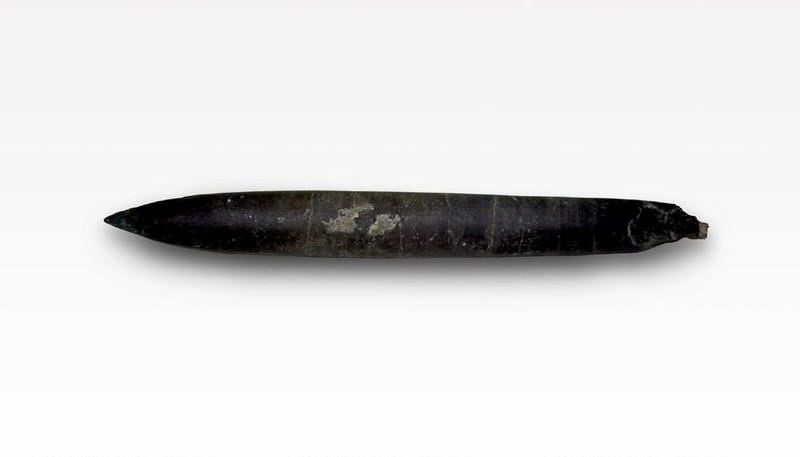 Belemnite.; 11596 | eHive