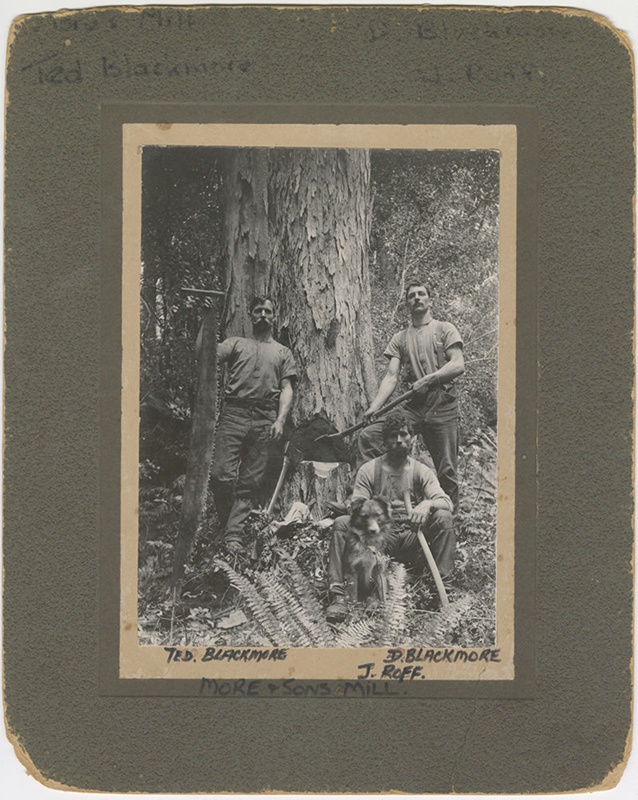 Photograph, Ted Blackmore, D Blackmore, James Roff, More and Sons Mill ...