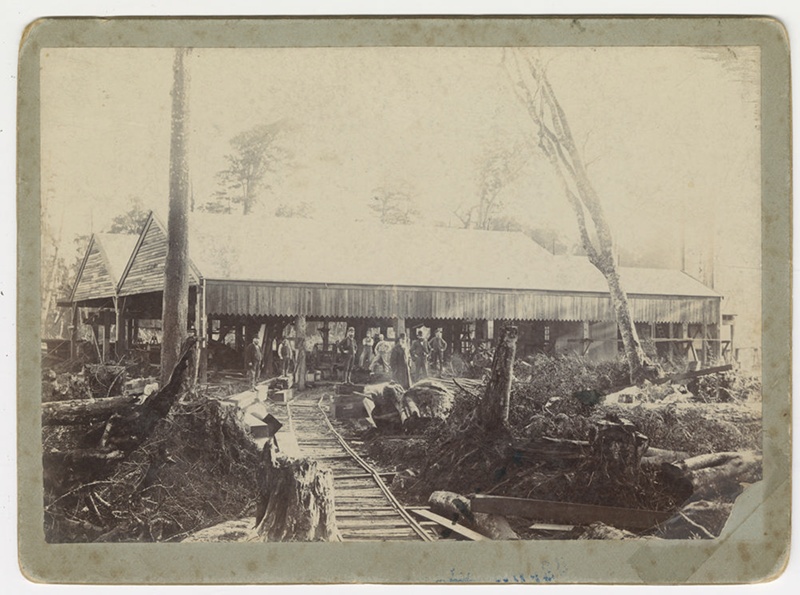 Photograph, A large sawmill; Unknown photographer; 1890-1900; RI.P78.93 ...