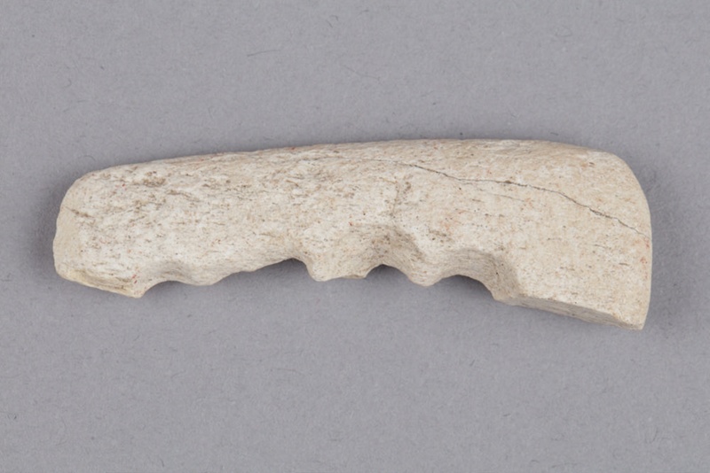 Bone Worked Piece Unknown Species Unknown Bone Worker 1250 1900 Ri