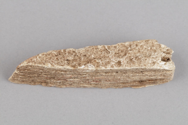 Bone, Animal, Worked fragment; Unknown bone worker; 1250-1900; RI.0000. ...