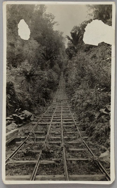 Photograph, Logging track; Unknown photographer; 1880-1930; RI.P0000.33 ...