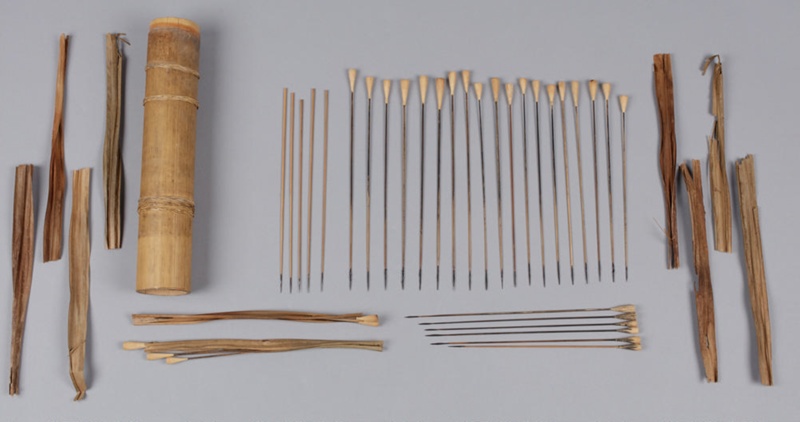 Quiver, Tolor, Dayak blow pipe quiver and darts; Unknown maker; 1880 ...
